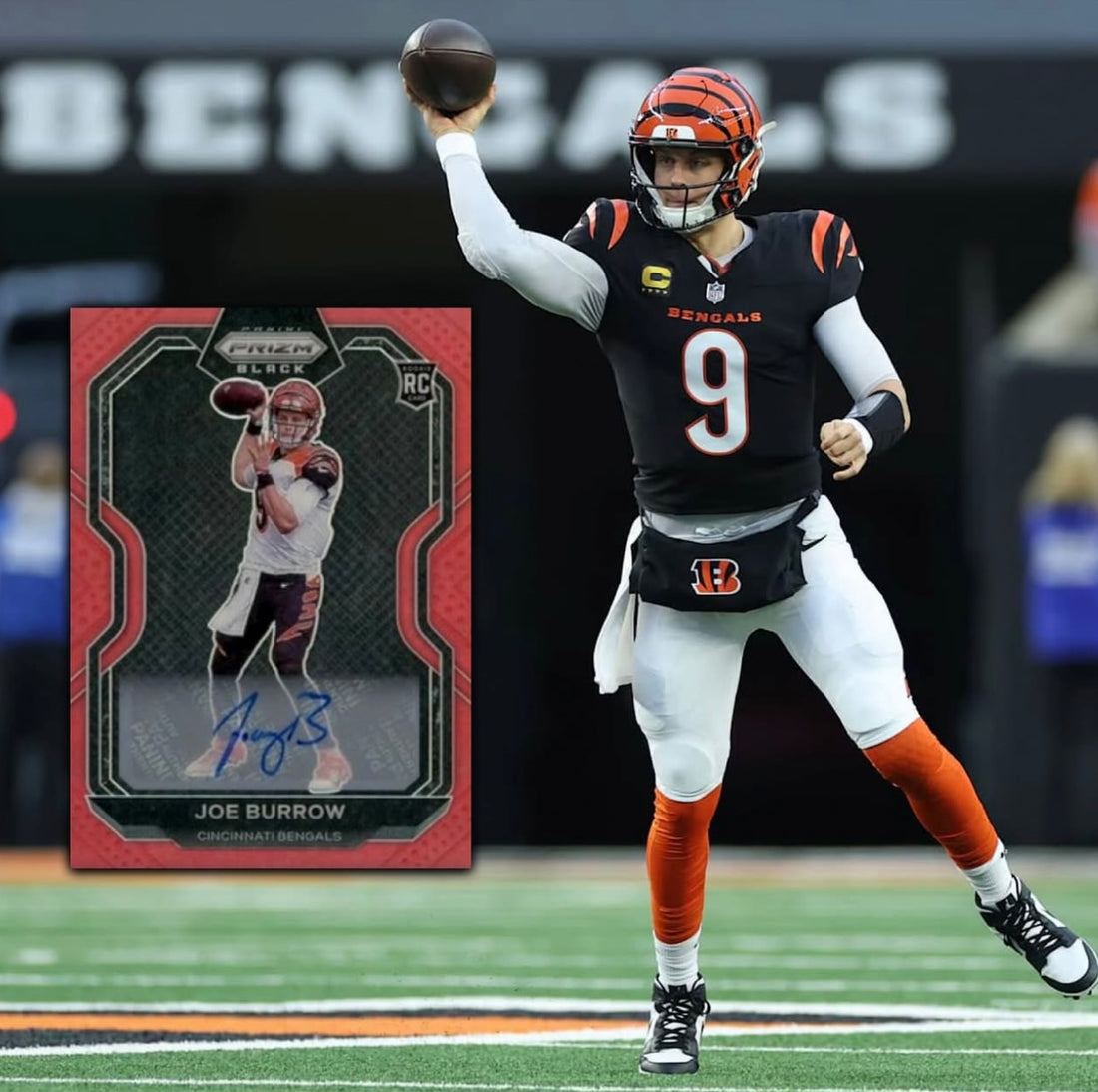 M1NT Hobby Cases - Elevate Your Collectibles' Protection and Display